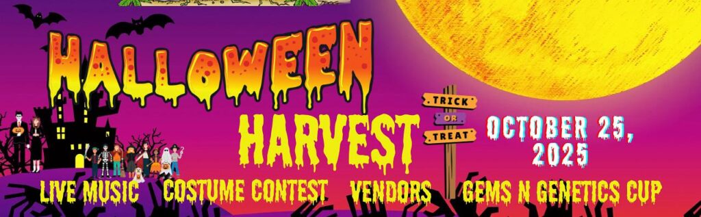 Halloween Harvest Festival - The Stoner's Travel Guide to the USA